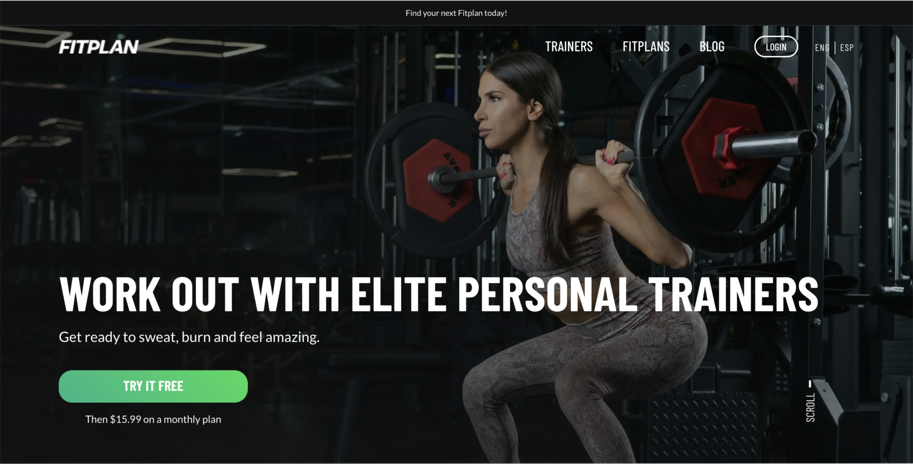Best Apps to Sell Workout Programs Online in 2024 | Exercise.com